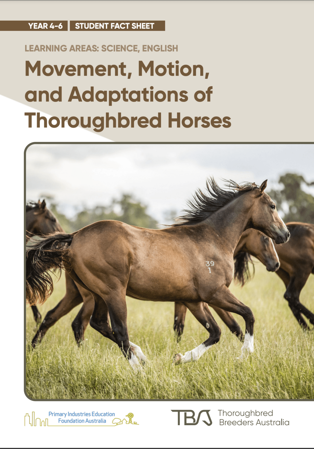Movement, Motion, and Adaptions of Thoroughbred Horses - TBA Schools